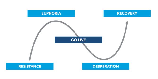 The Emotional Curve of ERP Projects - Pemeco Consulting