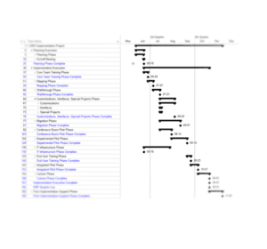 Milestone Deliverables: ERP Project Management Methodology | Pemeco